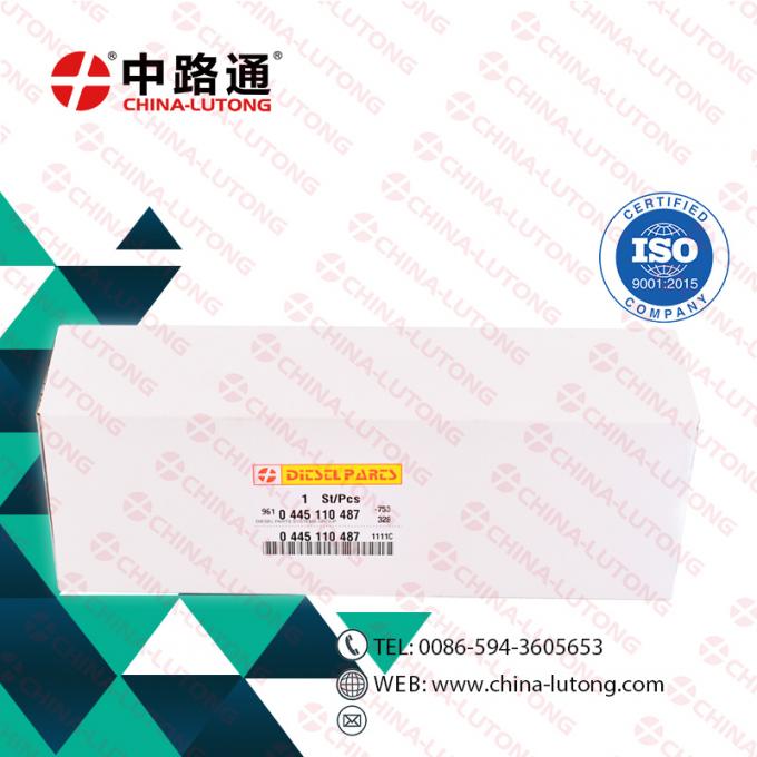 0445110487 for denso high quality common rail injector 0 445 110 487 ...