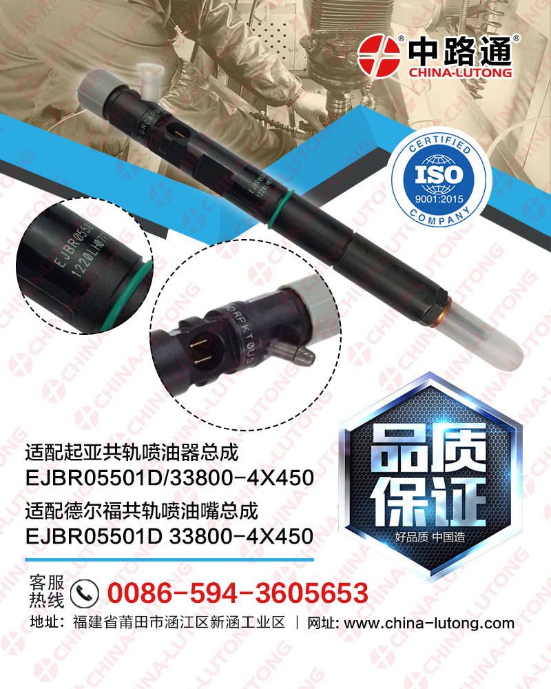 LJCB00802A LJC6760525 for delphi injector rebuild CR Fuel Systems Fits ...