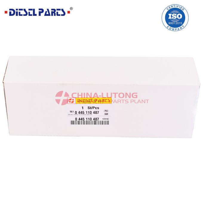 0445110487 for denso high quality common rail injector 0 445 110 487 ...